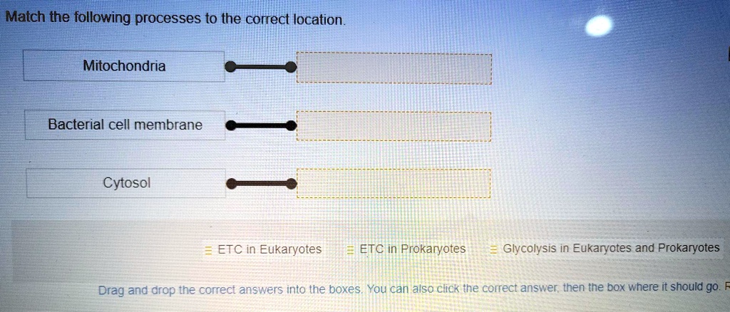 SOLVED: Match the following processes to the correct location Mitochondria Bacterial cell ...
