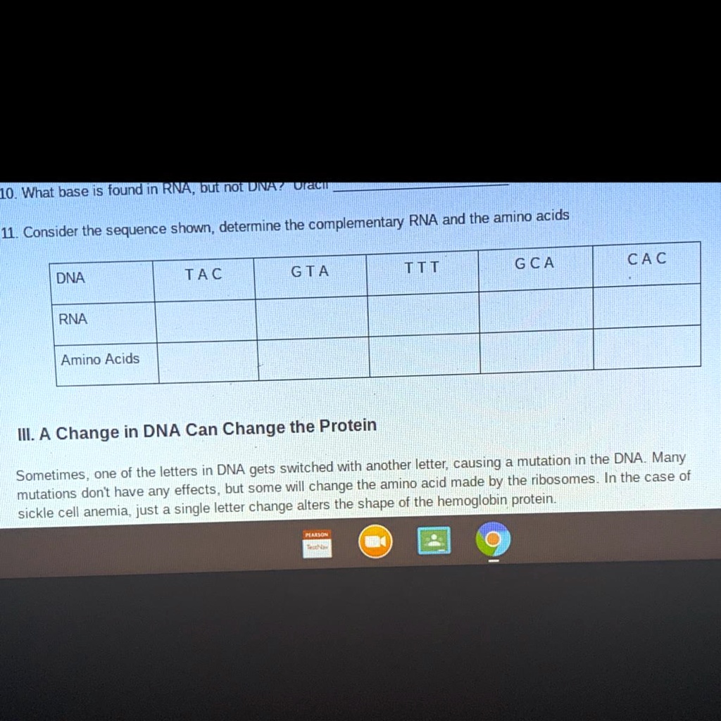 10. What base is found in RNA, but not DNA? Orac 11. Consider the ...