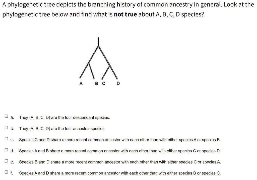 A phylogenetic tree depicts the branching history of common ancestry in ...