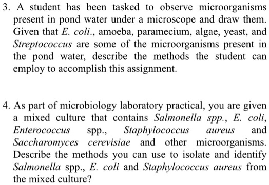 Student has been tasked to observe microorganisms present in...