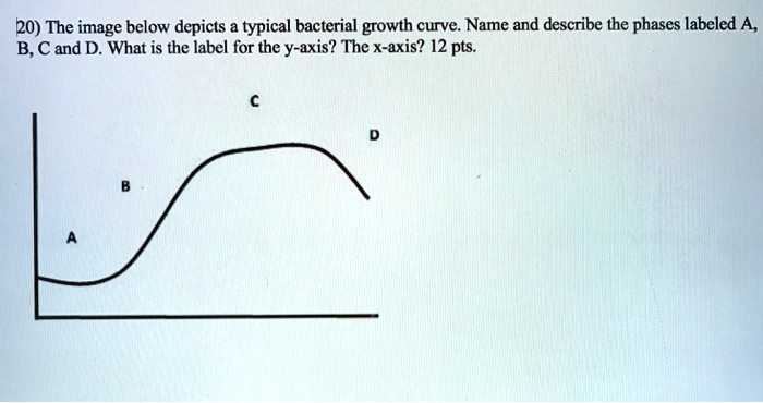 SOLVED: 20) The image below depicts typical bacterial growth curve ...