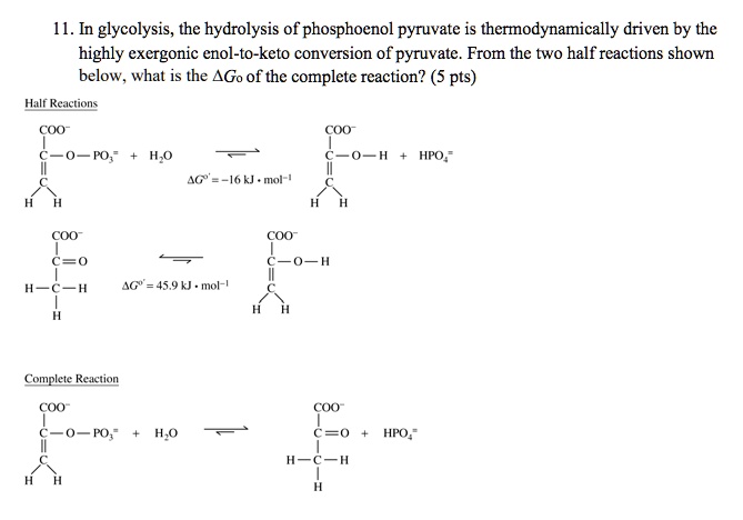 i1 in glycolysis the hydrolysis of phosphoenol pyruvate is ...