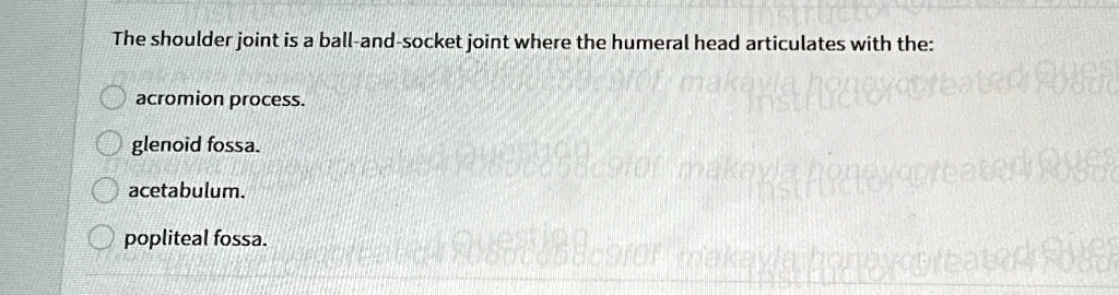 The shoulder joint is a ball-and-socket joint where the humeral head ...
