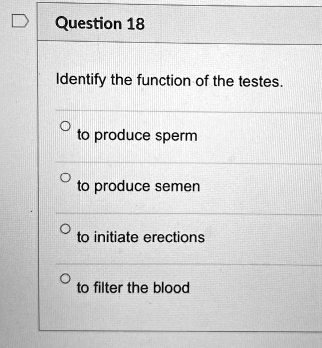 SOLVED: Question 18 Identify the function of the testes. to produce ...