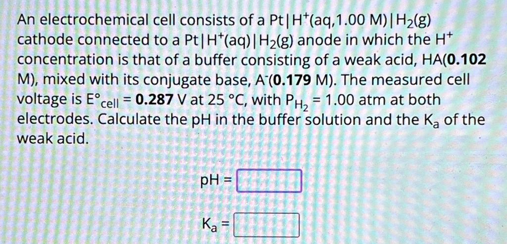 an electrochemical cell consists of a pthaq 100 m h2g cathode connected ...