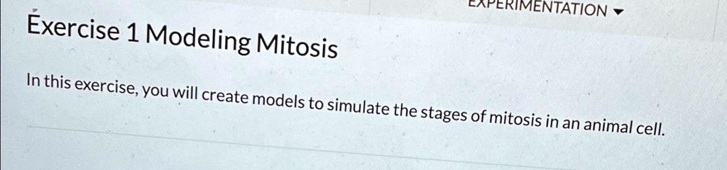 Exercise 1 Modeling Mitosis In this exercise, you will create models to ...