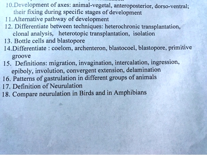 10development of axes animal vegetal anteroposterior dorso ventral ...
