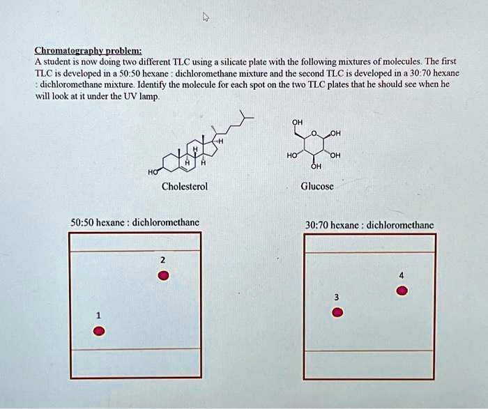 Chromatography problem: A student is now doing two different...