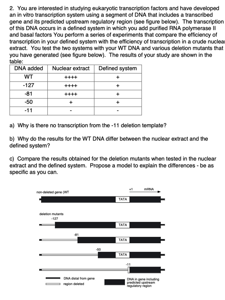 SOLVED: 2. You are interested in studying eukaryotic transcription ...