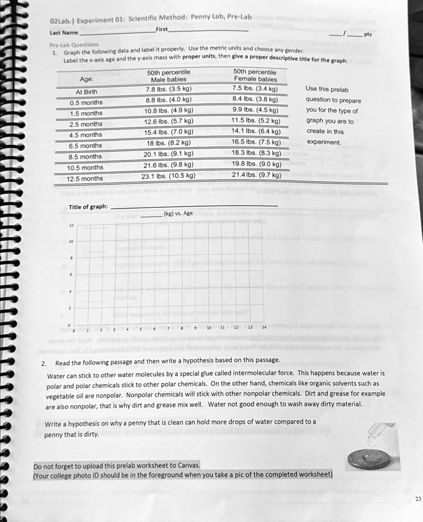 SOLVED: 02 Lab. 1 Experiment 01: Scientific Method: Penny Lab, Pre-Lab ... SOLVED: 02 Lab. 1 Experiment 01: Scientific Method: Penny Lab, Pre-Lab ...