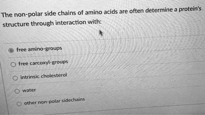 The non-polar side chains of amino acids are often determine...