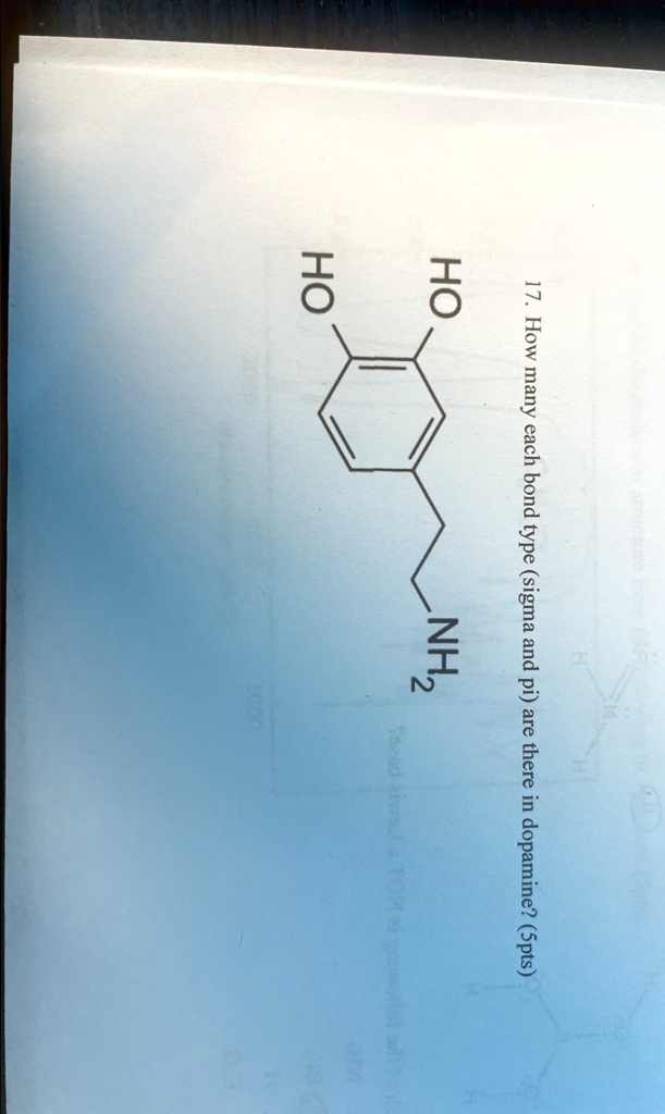 17. How many each bond type (sigma and pi) are there in dopamine? (5pts ...