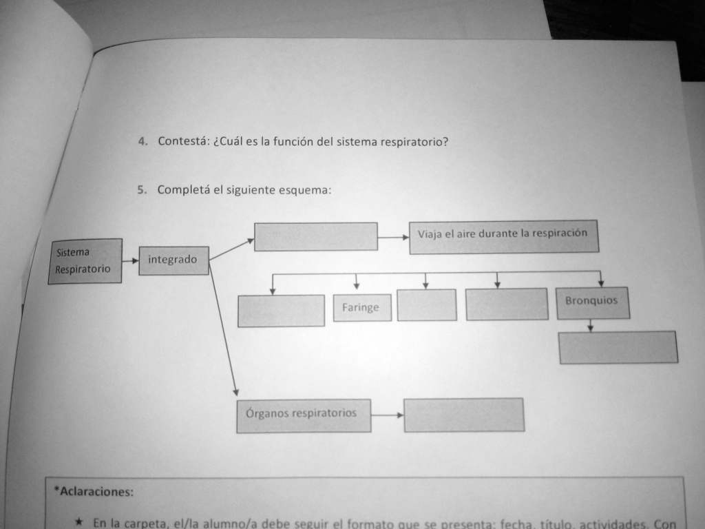 SOLVED: Me pueden ayudar en el esquema? Contestá: Cuál es la función ... SOLVED: Me pueden ayudar en el esquema? Contestá: Cuál es la función ...