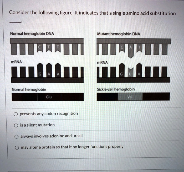 Consider the following figure. It indicates that a single amino acid ...