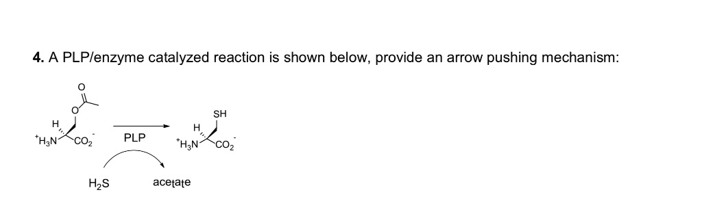 SOLVED: 4. A PLPlenzyme catalyzed reaction is shown below, provide an ...