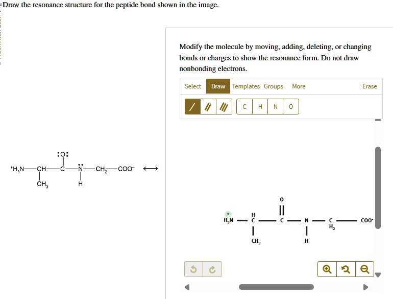draw the resonance structure for the peptide bond shown in the image 0 n ch2 coo h3n ch c ch3 h ...