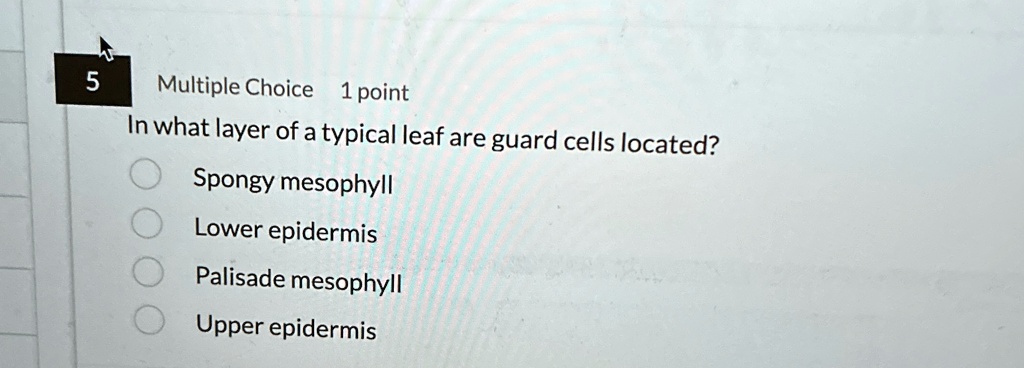 5 multiple choice 1 point in what layer of a typical leaf are guard ...