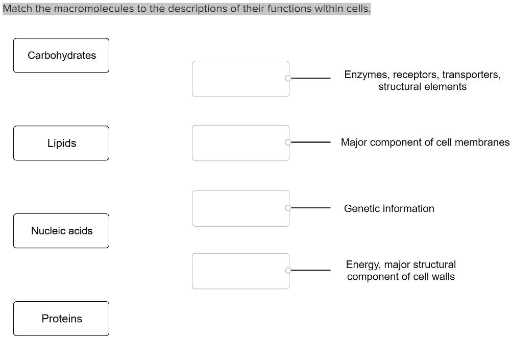SOLVED: Match the macromolecules to the descriptions of their functions ...