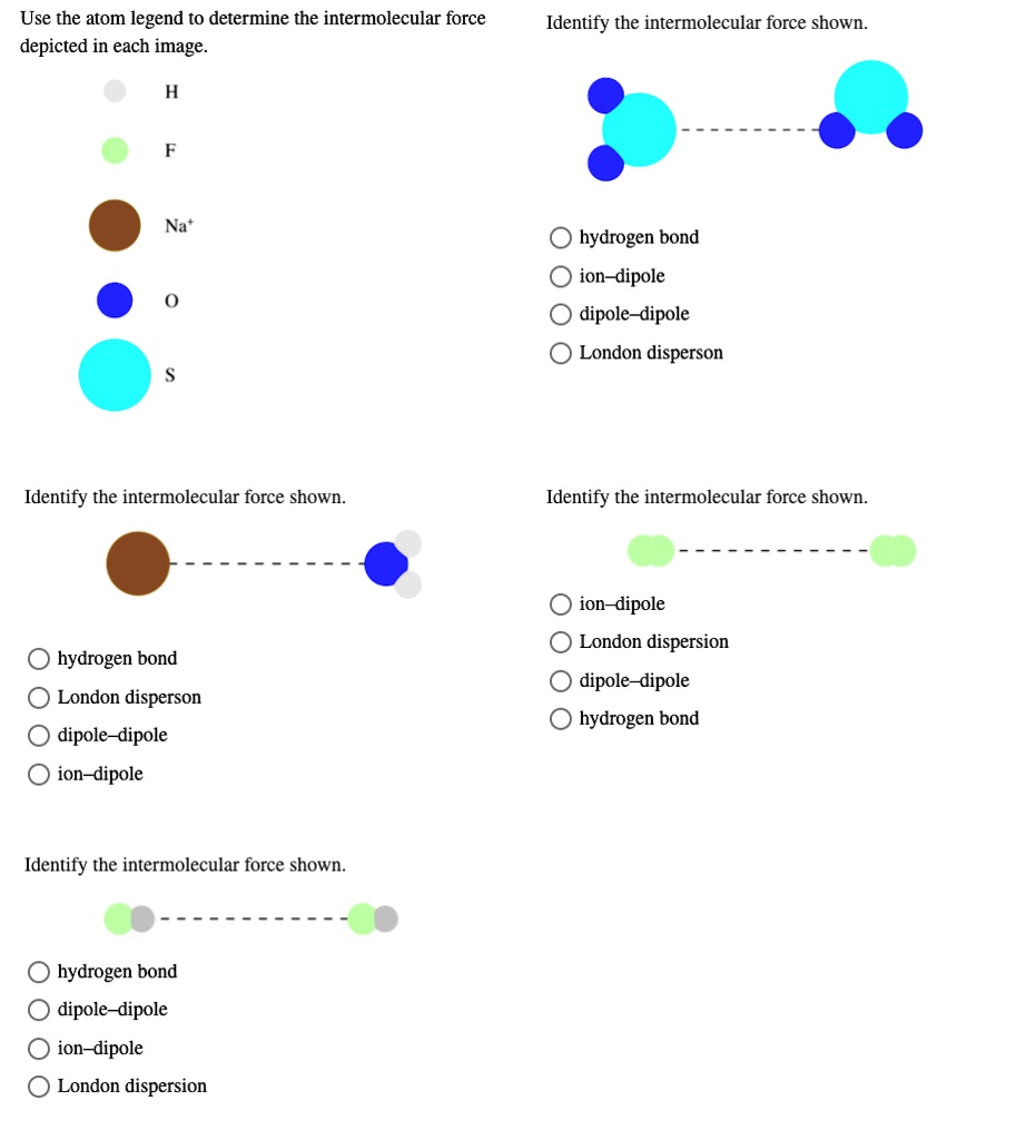 use the atom legend to determine the intermolecular force depicted in ...