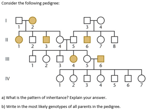 SOLVED: Consider the following pedigree: What is the pattern of inheritance? Explain your answer ...