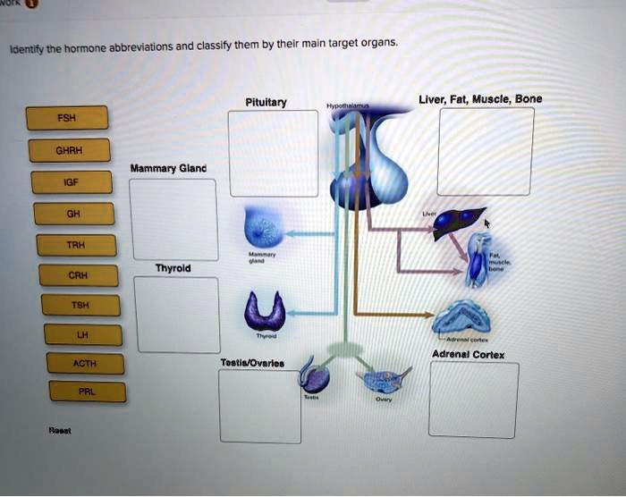 [GET ANSWER] identity the hormone abbreviations and classify them by ...