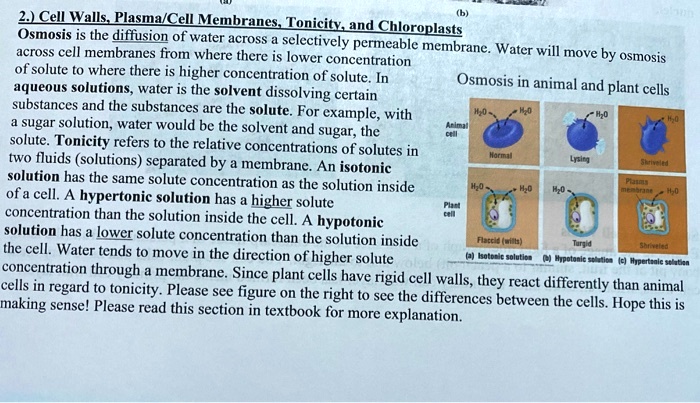 2.) Cell Walls, Plasma/Cell Membranes, Tonicity, and Chloroplasts ...