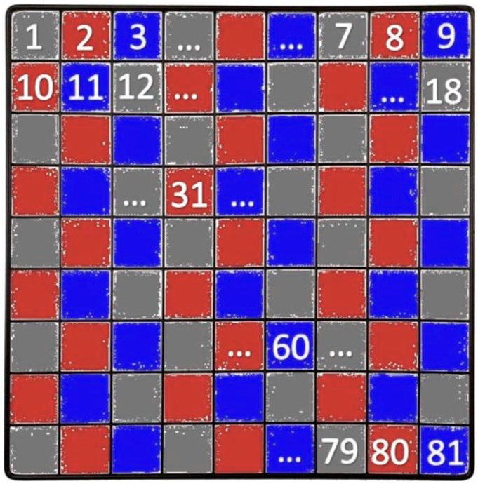 SOLVED: Question 5: You are given a 9*9 grid as shown in the figure ...