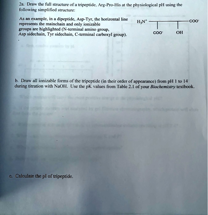 draw the full structure of a tripeptide arg pro his at the ...