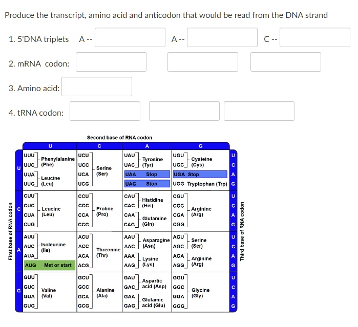 SOLVED: Produce the transcript, amino acid, and anticodon that would be ...
