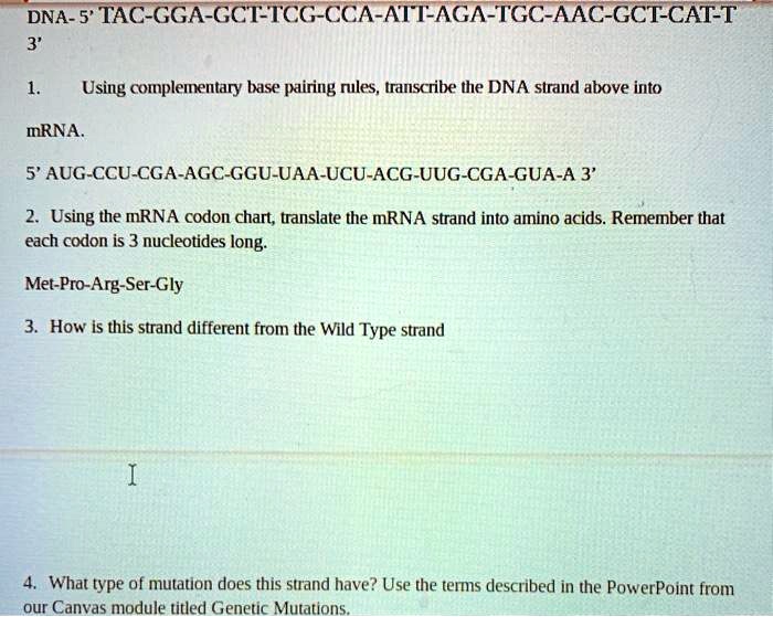 SOLVED: DNA-5' TAC-GGA-GCTTCG-CCA-ATT-AGA-TGC-AAC-GCT-CAT-T Using ...