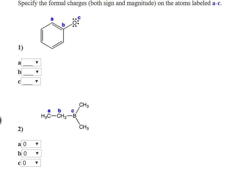 SOLVED: Specify the formal charges (both sign and magnitude) o the ...