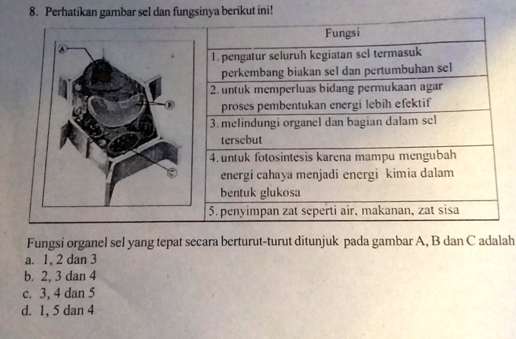 SOLVED: tolong kak bantuannya,mau dikumpulkan 8 Perhatikan gambar sel ... SOLVED: tolong kak bantuannya,mau dikumpulkan 8 Perhatikan gambar sel ...