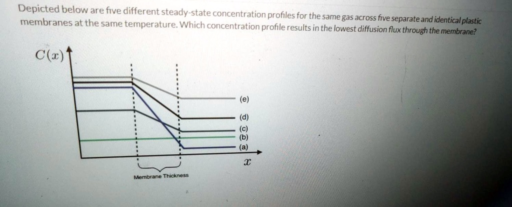 Depicted below are five different steady-state concentration profiles ...
