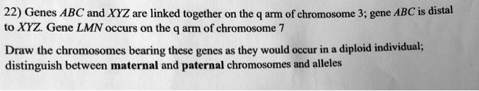 SOLVED: 22) Genes ABC and XYZ are linked together on the , arm of ...