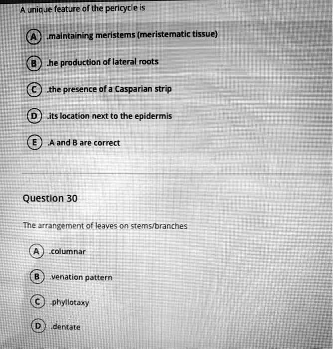A unique feature of the pericycle is A maintaining meristems ...