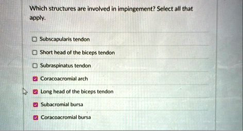 which structures are involved in impingement select all that apply ...