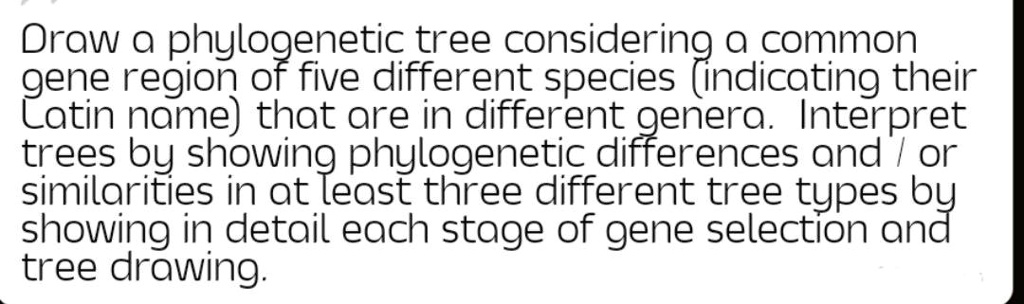 SOLVED: Draw a phylogenetic tree considering a common genetic relationship between five ...