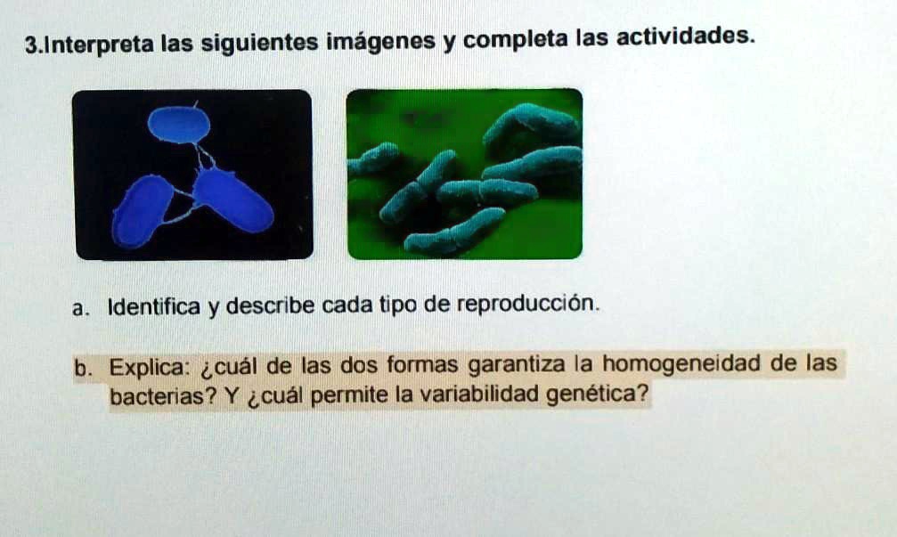 Explica cual de las dos formas garantiza la homogeneidad de...