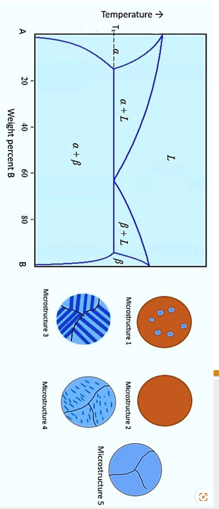 SOLVED: A binary phase diagram of an A-B alloy is shown. For an alloy ...