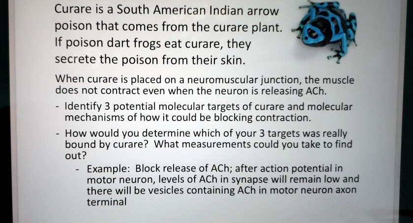 SOLVED Curare Is A South American Indian Arrow Poison That Comes From SOLVED Curare Is A South American Indian Arrow Poison That Comes From