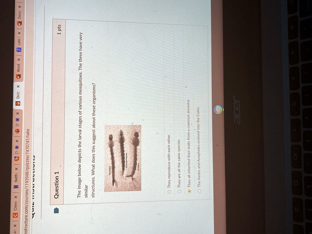 Question 1 1 pts The image below depicts the larval stages of various ...
