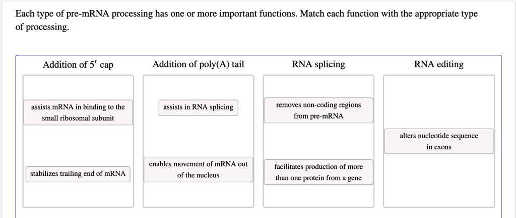 each type of pre mrna processing has one or more important functions match each function with ...