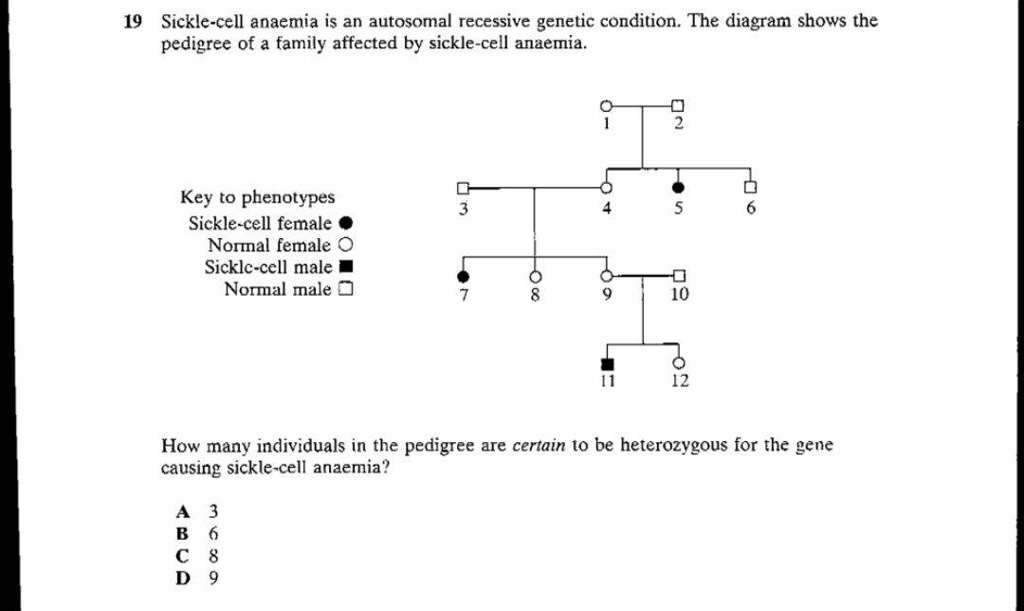19 sickle cell anaemia is an autosomal recessive genetic condition the ...