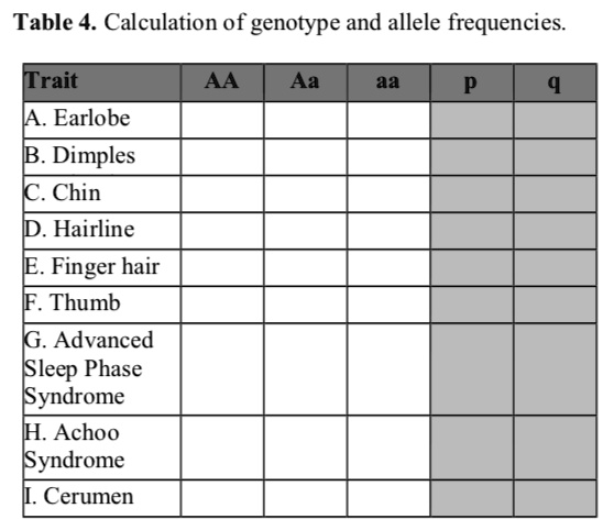SOLVED:Table 4. Calculation of genotype and allele frequencies Trait AA ...
