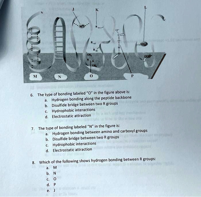 SOLVED: of bonding labeled 0" in the figure above is: The type Hydrogen ...