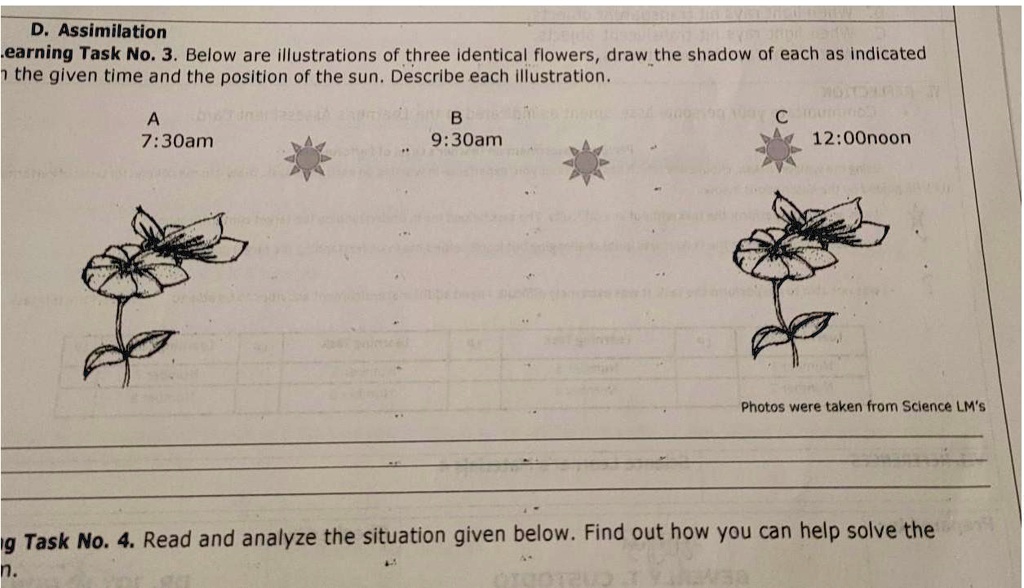 SOLVED: D. Assimilation Learning Task No. 3. Below are illustrations of ... SOLVED: D. Assimilation Learning Task No. 3. Below are illustrations of ...