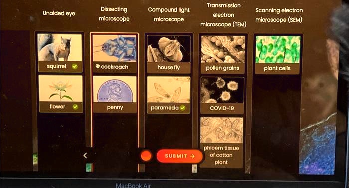 SOLVED: Texts: Unaided eye, squirrel, flower, Dissecting microscope ...
