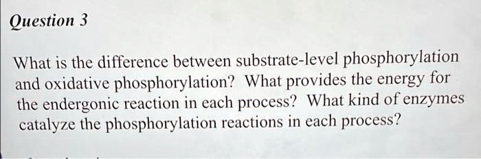 Solved Question 3 What Is The Difference Between Substrate Level 5722