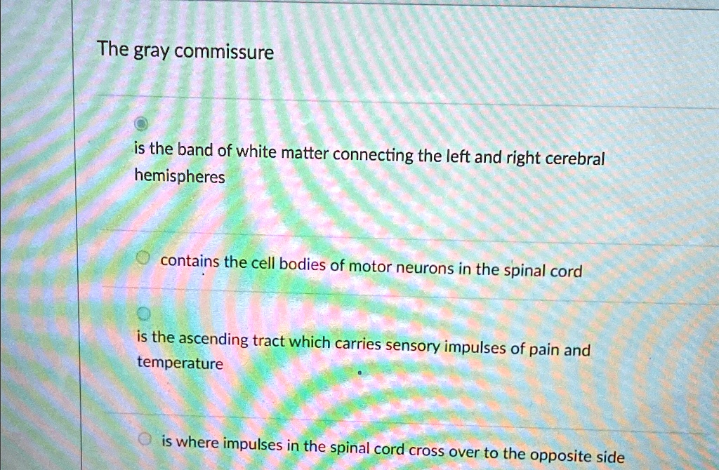 the gray commissure is the band of white matter connecting the left and ...