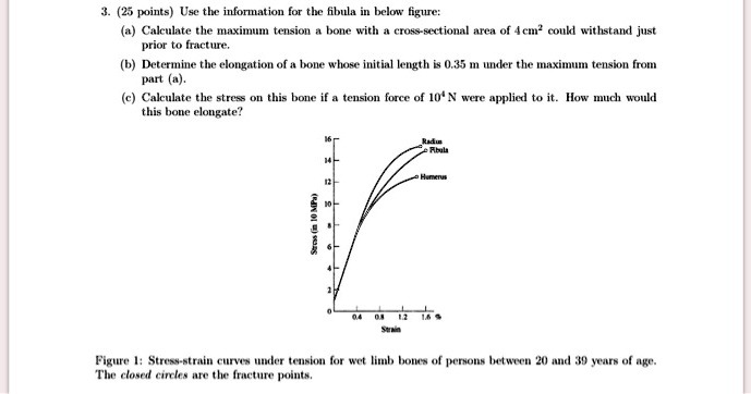 SOLVED: 3. (25 points) Use the information for the fibula in below figure: (a) Calculate the ...